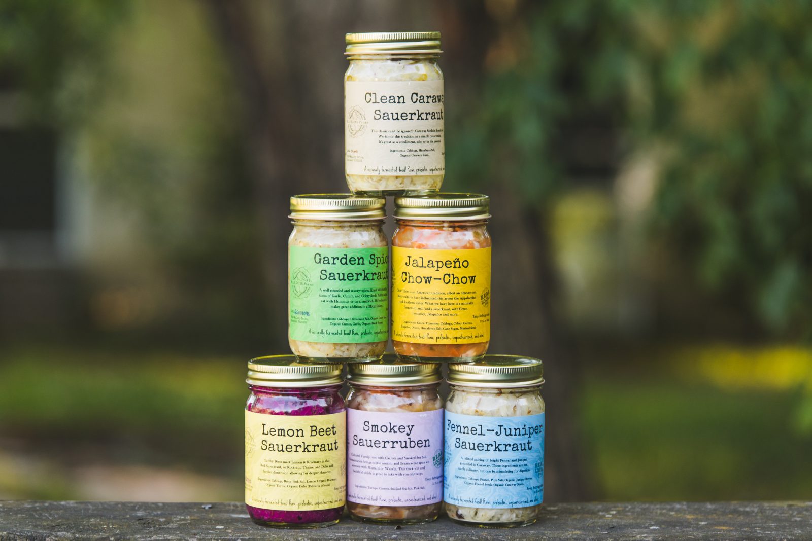 Wild Earth Fermentation Promotes Sustainable Growth; Inside and out ...